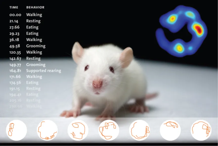 A Buyer’s Guide to the Perfect Video Tracking Setup | Noldus