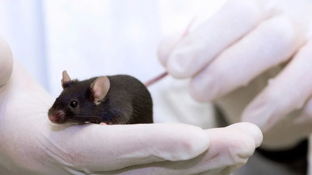 Animal Research | contact | Noldus