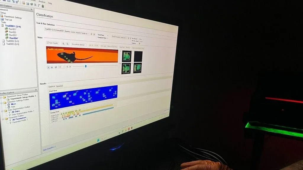 CatWalk XT | contact | Noldus