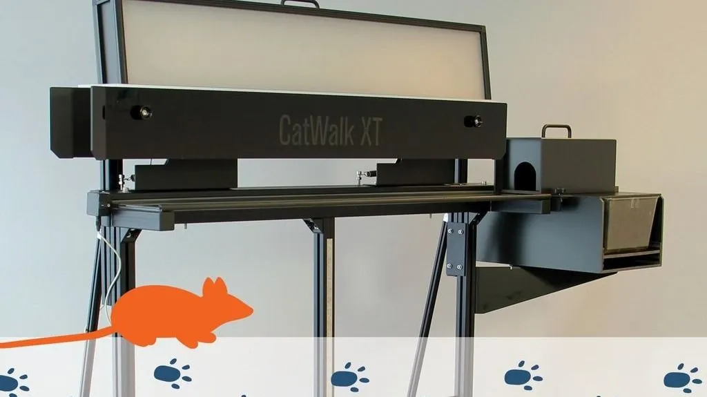 CatWalk XT | System setup | Noldus