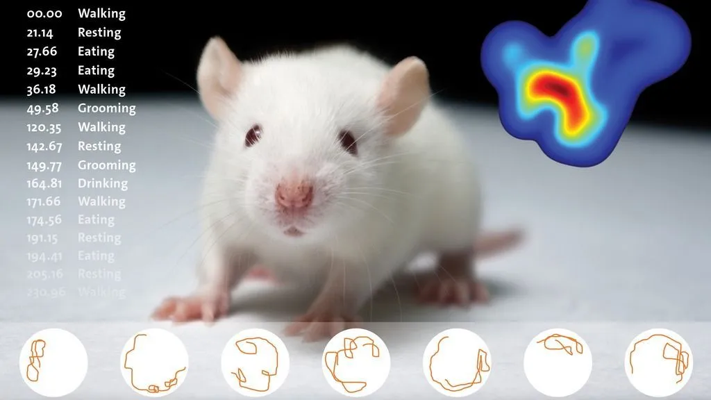 EthoVision XT | Video tracking software | Noldus