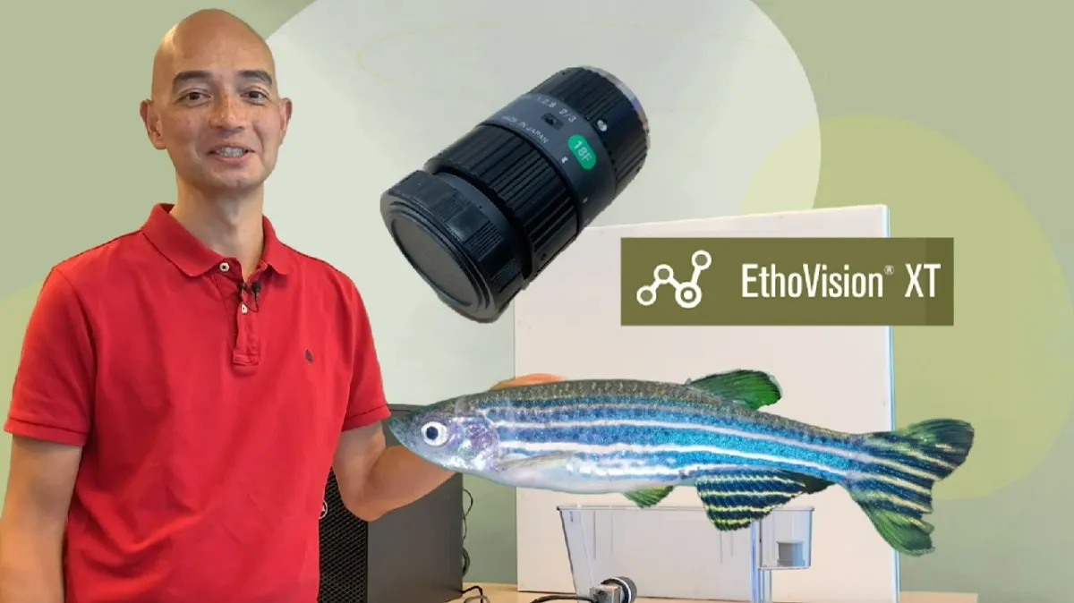 Fear, Anxiety, and Depression | Application | Noldus