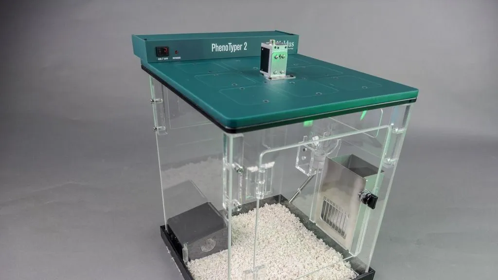 PhenoTyper | System setup | Noldus