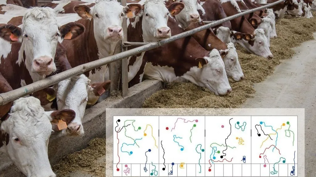 TrackLab | Precision tracking for animal movement | Noldus